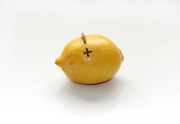 Lemon Batteries! – LobeStir