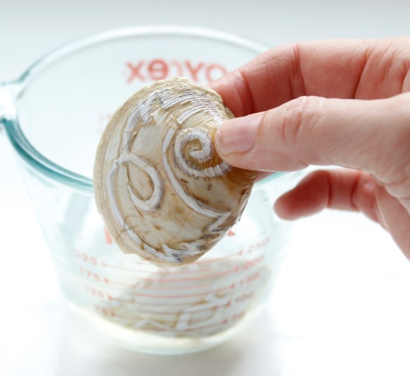 Hohokam Shell Etching – LobeStir