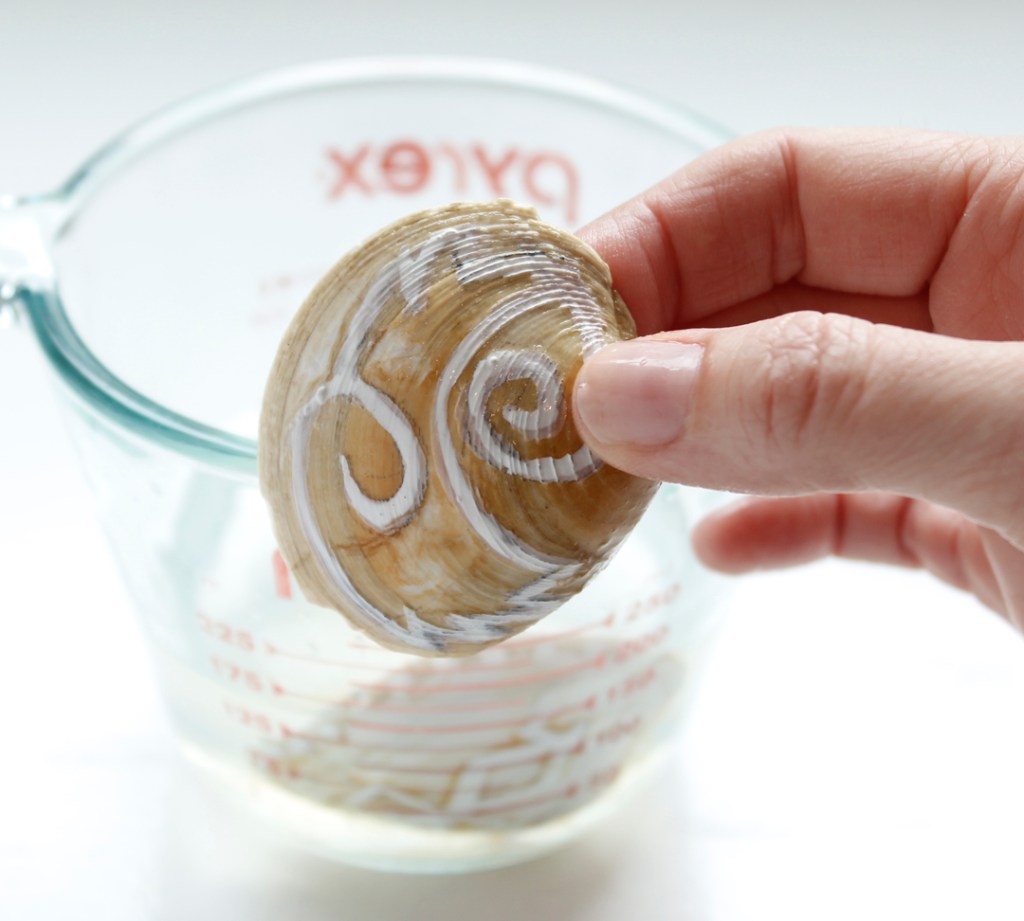 Hohokam Shell Etching – LobeStir